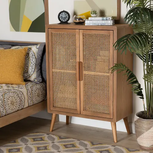 Mid Century Modern Rattan 2 Door Accent Cabinet Trudi