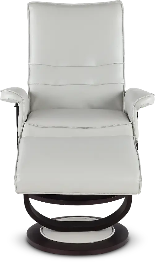 Urban Fog Euro Chair and Ottoman RC Willey