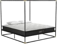 Celeste Canopy Black and Gold King Canopy Bed RC Willey
