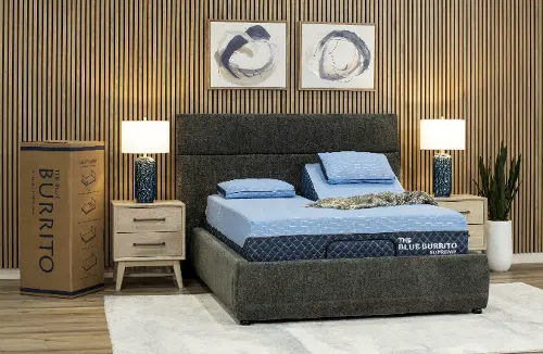 Rc willey adjustable beds store